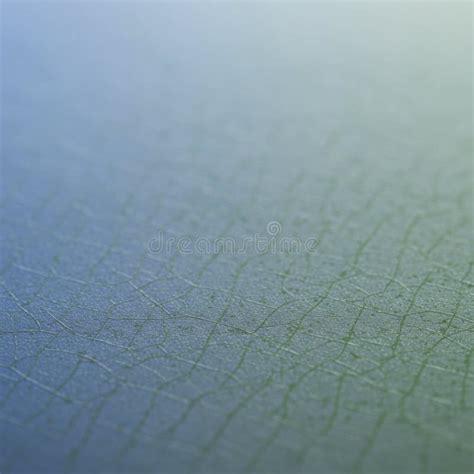 An Abstract Image Of A Textured Surface Featuring A Network Of Fine