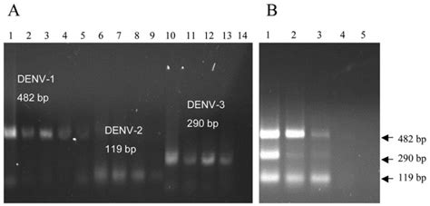 Single Tube Nested Pcr Using Immobilized Internal Primers For The
