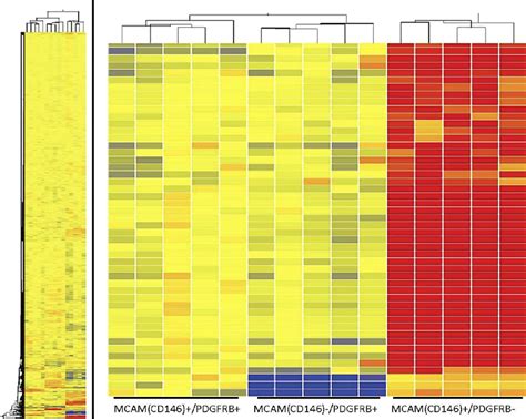 Hierarchical Clustering Complete Hierarchical Clustering Analysis Download Scientific Diagram