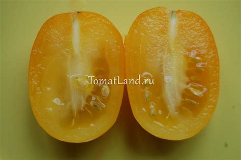 Томат Карамель желтая: описание сорта, ОТЗЫВЫ, фото | tomatland.ru