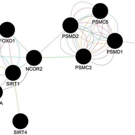 The Interaction Network ‘nutrient Sensing And Calorie Restriction Download Scientific Diagram