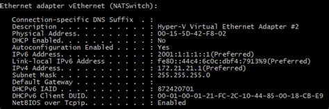 Server Listening On Tcp Ipv6 Does Not Receive Messages · Issue 13