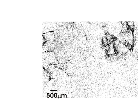 11 Dislocation Pattern Of Sample F252 The Darker Regions Indicate A 11 Dislocation Pattern Of Sample F252 The Darker Regions Indicate A