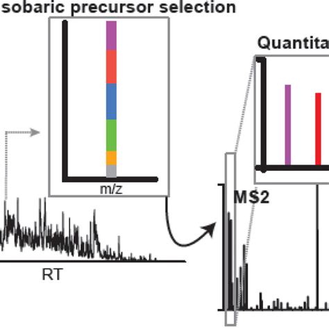 Workflow For The Quantitative Proteomics Aspect Of GLoPro Workflow For Download Scientific
