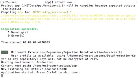 how to run dot net core application in detached mode using