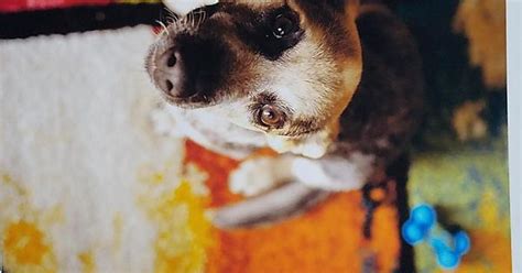 Printing Issue Album On Imgur