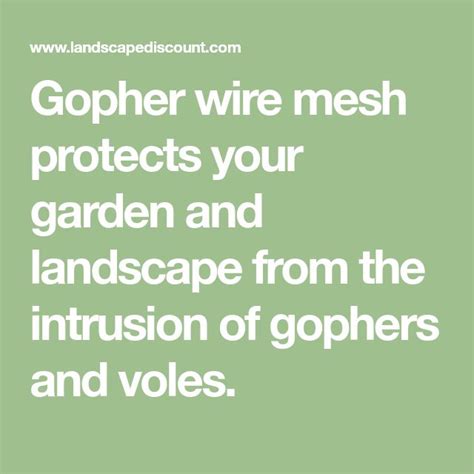 Gopher Wire Mesh Protects Your Garden And Landscape From The Intrusion