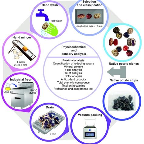 The Process Diagram For Chip Production Download Scientific Diagram