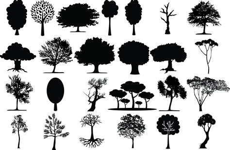 TREE SILHOUETTE SVG Bundle Tree Cut Files For Cricut Forest Etsy