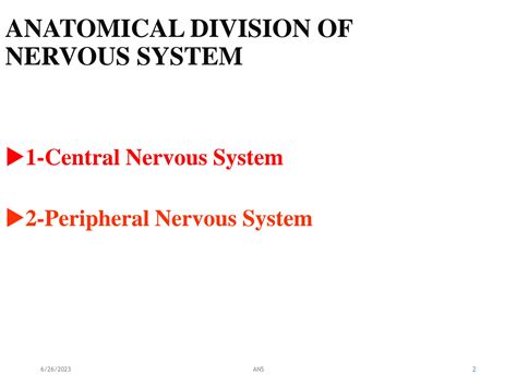 Solution Introduction To Autonomous Nervous System Studypool