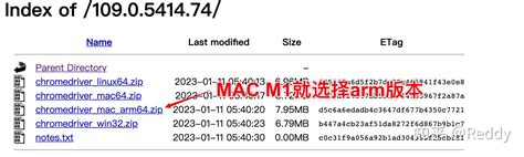 在mac M1芯片下搭建selenium环境驱动chrome浏览器 知乎
