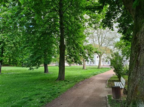 무료 이미지 자연스러운 녹색 나무 자연 경관 그늘 햇빛 땅의 제비 노면 트렁크 우디 식물 낙엽 가로등 집 경치 농촌 지역 Tints And