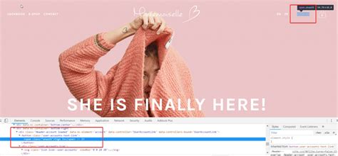 Advanced Customisation Techniques Per Language Multilingualizer
