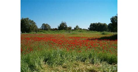 Осъдиха фермер пробвал да източи еврофондовете