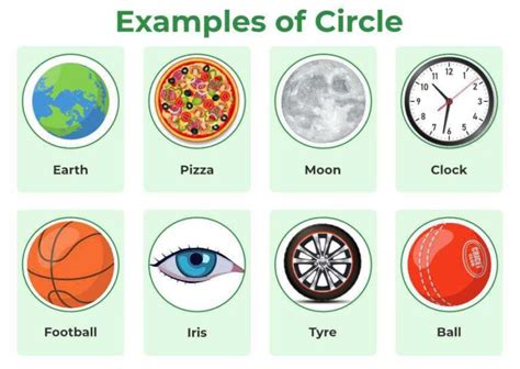Radius Examples In Geometry And Everyday Life