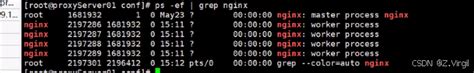 案例 NetWork Error nginx network error CSDN博客