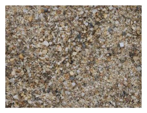 Representative Images Of Different Types Of Sand A Fine Sand B Download Scientific
