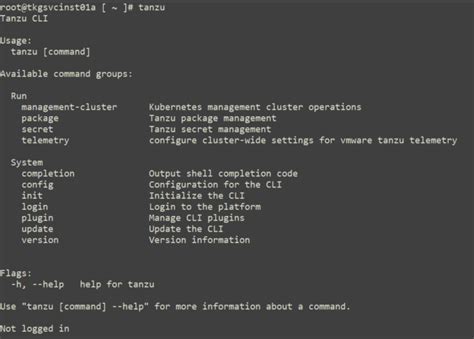 tanzu create plugin missing in internet restricted environment kontainers