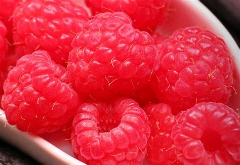 Raspberry Side Color Scheme Image Color Palettes SchemeColor Com
