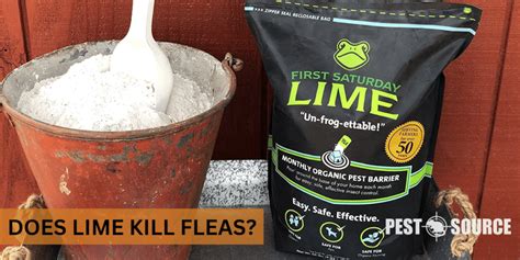 Does Lime Kill Fleas Pest Source