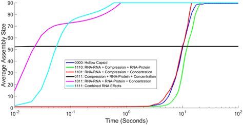 Comparing Influence Of Three Rna Effects On Averaged Assembly