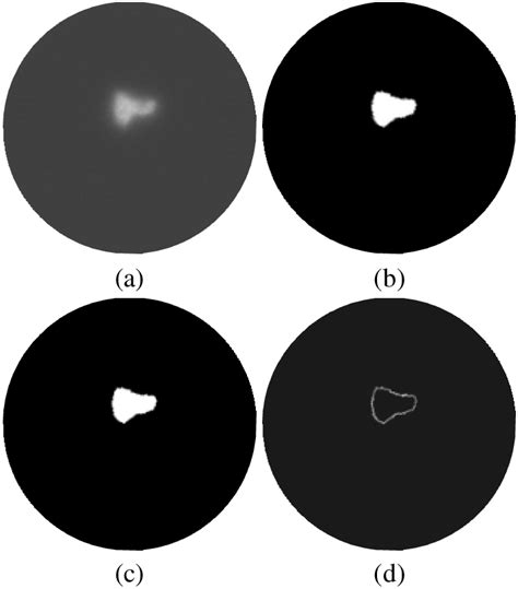 Steps Of The Image Processing Technique Download Scientific Diagram