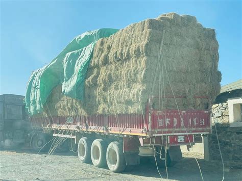 Өвөлжилтийн бэлтгэл ажил