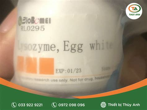 Hóa Chất Lysozyme ThiẾt BỊ Y DƯỢc