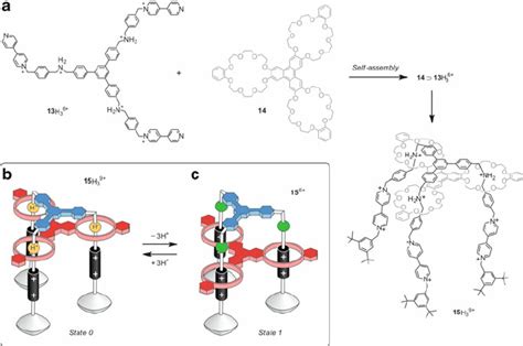 A Self Assembly Of The Triply Threaded Supramolecular System 14