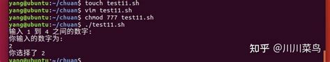 万字最全Linux Shell详细教程 知乎