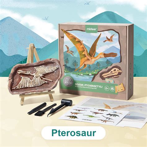 Pterosaur Dino Fossil Dig Kit Steam Toy Age 6 Tahi Toy