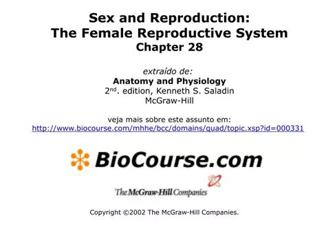 PPT Copyright 2002 The McGraw Hill Companies PowerPoint Presentation ID 315563