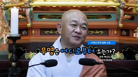 무명은 어디로부터 오는가 수현사 일요법회 응묵스님1127 Youtube