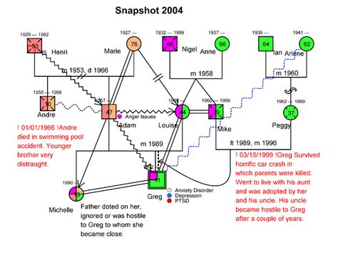 Genogram Timeline Snapshots Genogram Analytics