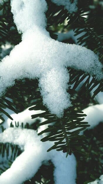 Premium Photo Close Up Of Snow On White Surface