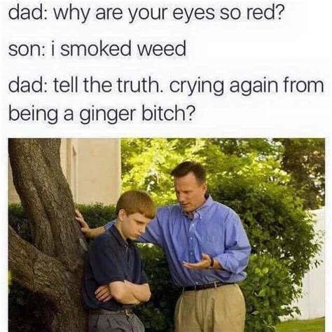 The Best Ginger Memes Memedroid
