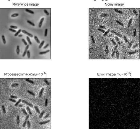 Figure 1 From Adaptive Weighted Mediated Morphological Filters Versus Non Adaptive One