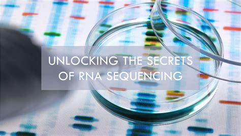 Rna Transcriptome Sequencing From Nobel Prize Discoveries To Precision