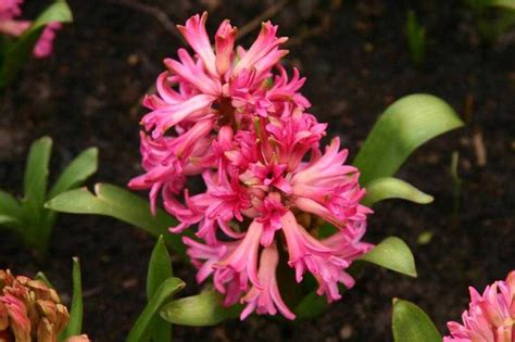 Sfondi Desktop Sfondi Salvaschermo Gratis Salvaschermo Desktop Sexy Sfondi Sexy Desktop