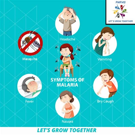 Symptoms Of Malaria Malaria Mosquito Mosquitocontrol Mosquitobite Malaria Symptoms