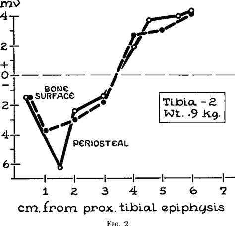 figure 2 from bioelectric potentials in bone semantic scholar