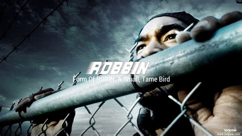 Robbin 3d Name Wallpaper For Mobile Write Name On Photo Online