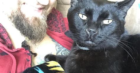 Obsidian Aka Obie Album On Imgur