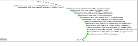 Phylogenetic Tree Of Staphylococcus Aureus Subsp Aureus Strain Download Scientific Diagram
