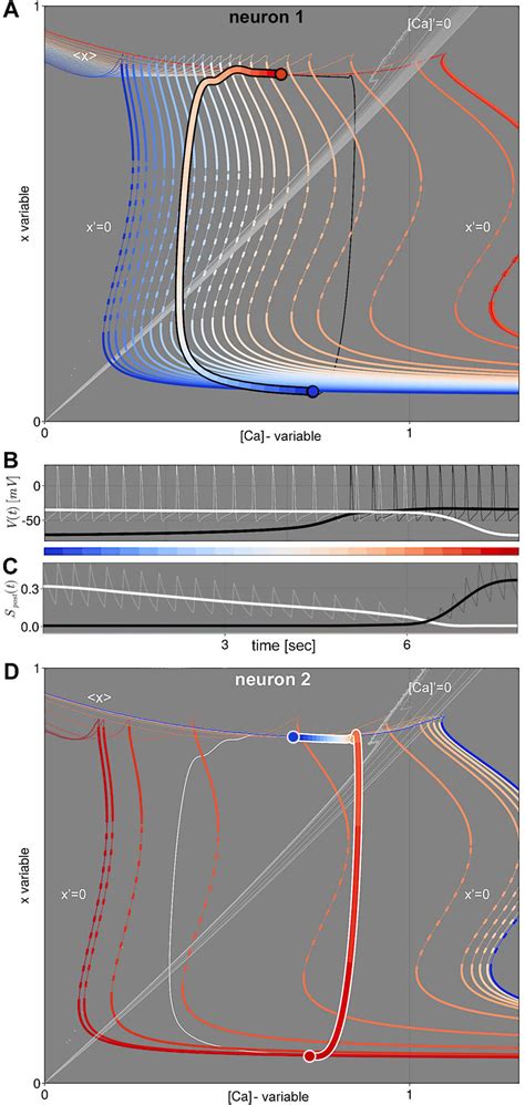 Illustration Of The Dynamic Evolution Of The Slow Nullclines