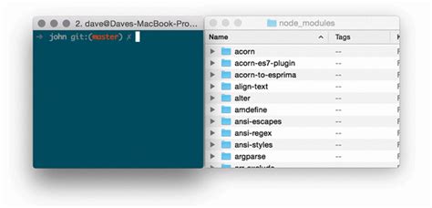 npm john skypack