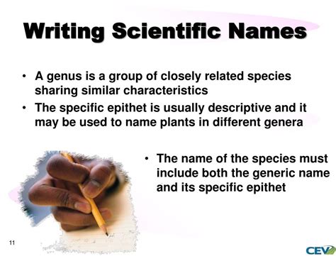 PPT Naming Plants Scientifically PowerPoint Presentation Free Download ID