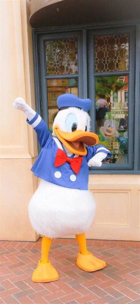 王舒窈 On Linkedin Quack Quack Donald Duck🦆。！！
