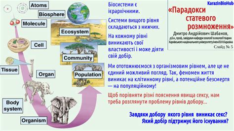 Парадокси сексуального розмноження Виступ на Karazinbiohub Лекторій бібліотека