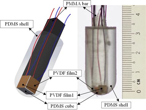 Bioinspired Tactile Sensor And Its Structure Download Scientific Diagram